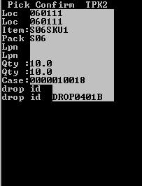 Special instructions for RF-directed picking