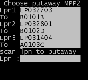 Completing an RF-assisted putaway with multiple IDs